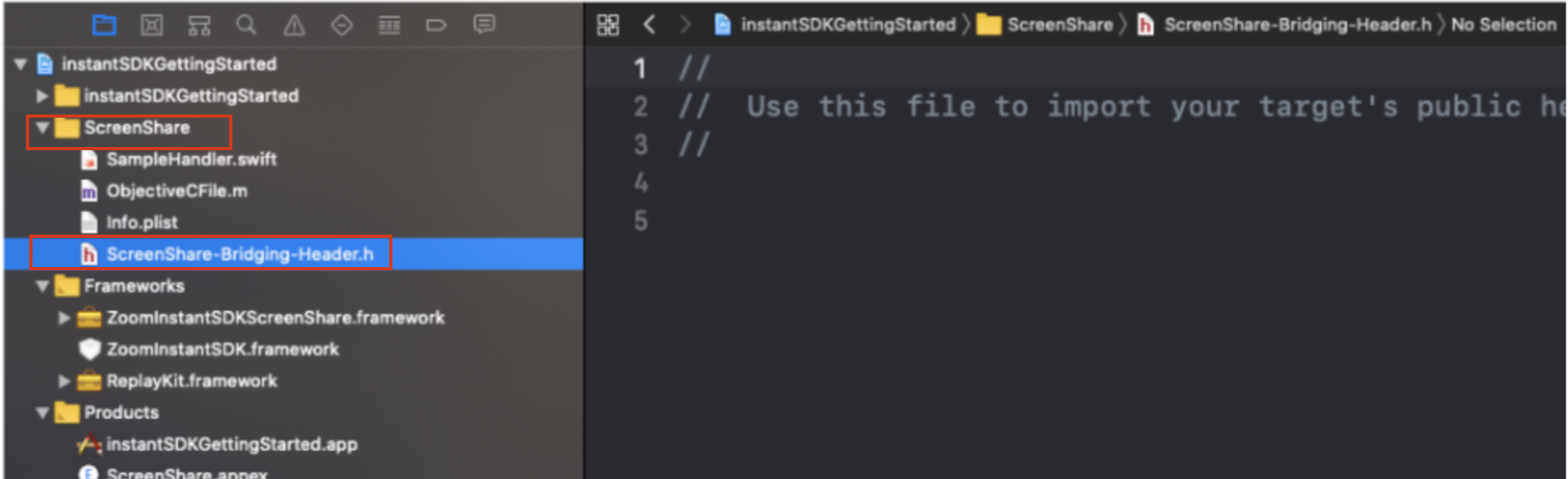 Video SDK - iOS - Screen sharing